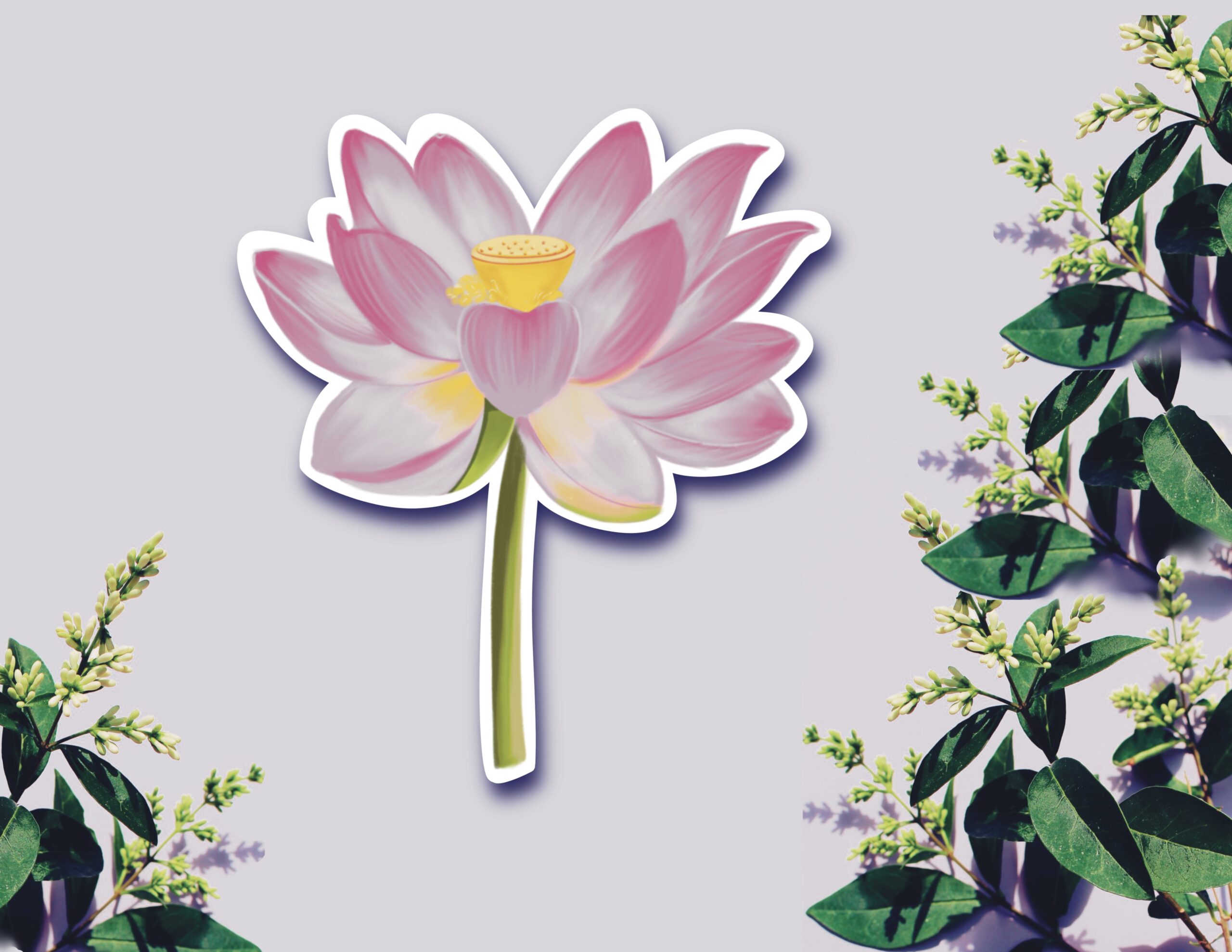 Flor de Loto Sticker - Pintando Ideas